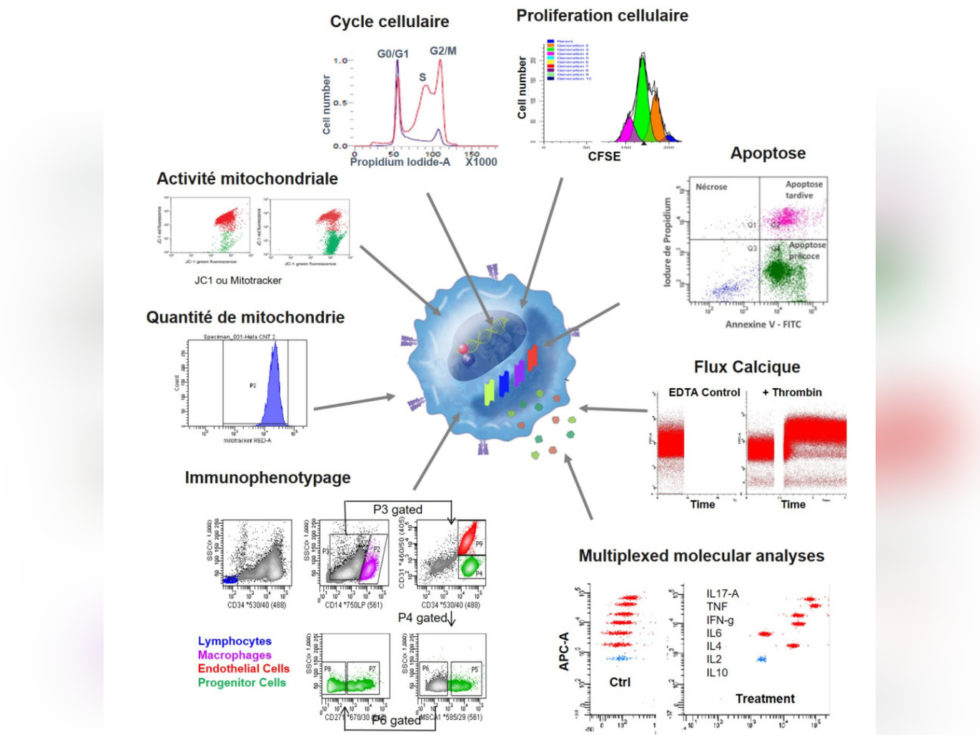 Flow Cytometry Applications - I2MC INSERM